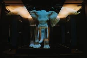 National Geographic's Holographic Campaign, 'Fit for a Queen' Takes ...